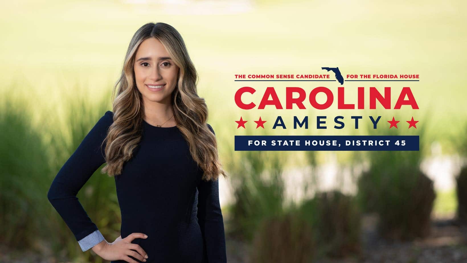 Florida Rep. Faces Felony Charges - Jonathan Rose, P.A.